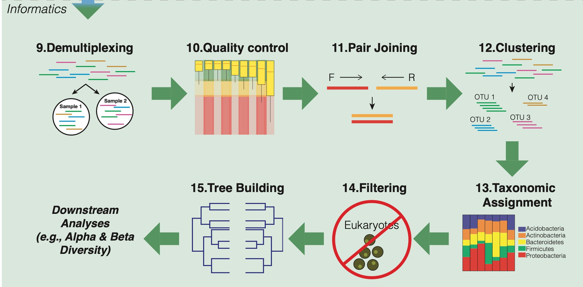 Marcadores Moleculares: Estudio de caso de Microbiota — Material para el curso de Fundamentos en ...